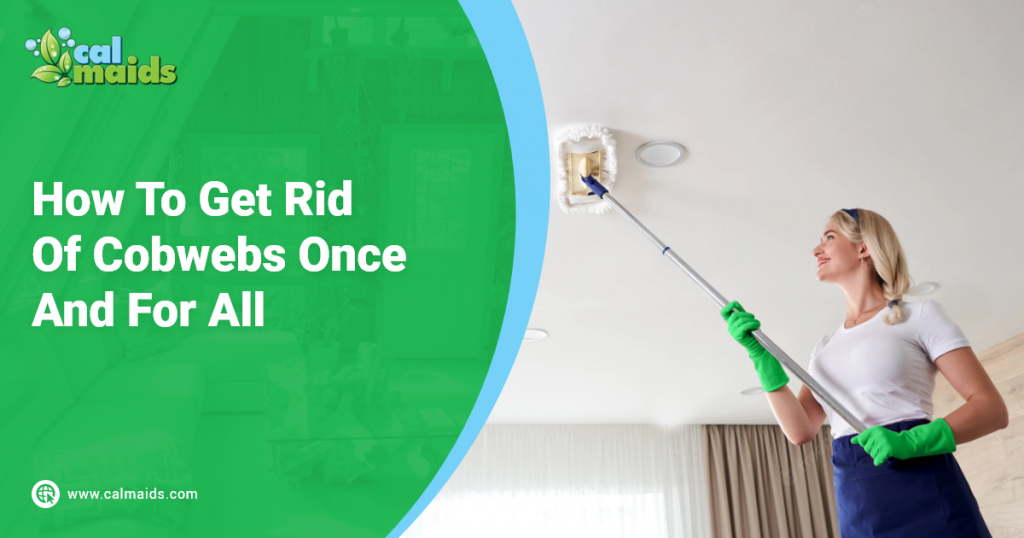 How To Get Rid Of Cobwebs Once And For All | Blog