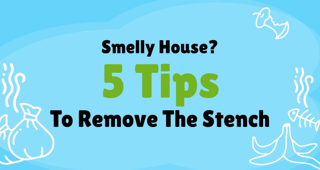 Smelly House? 5 Tips To Remove The Stench | Blog